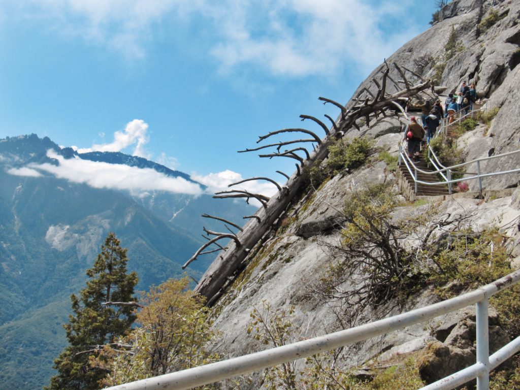 3 Ways to Get from Fresno to Sequoia National Park – Cassie's Compass