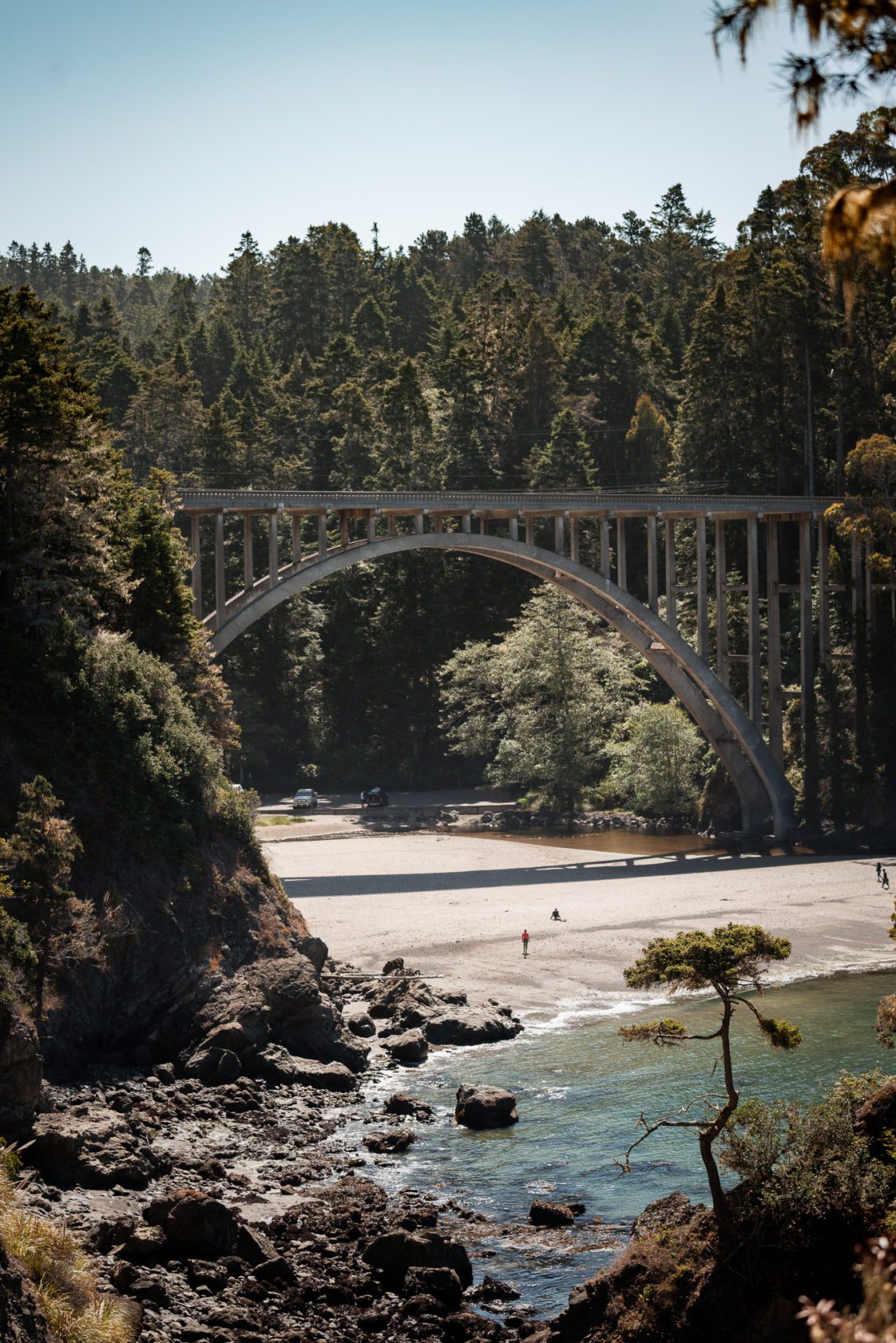 Road Tripping The Northern California Coast Cassies Compass